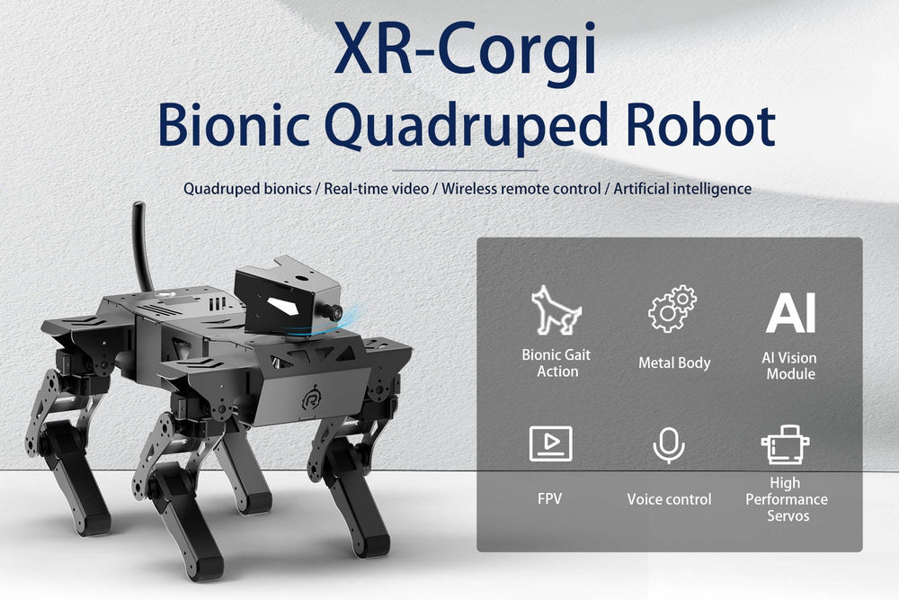 Meet Corgi: The Bionic Robot Dog That Teaches STEM Through Play