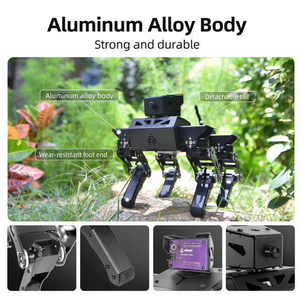 How to find the most cost-effective programming robot dog？