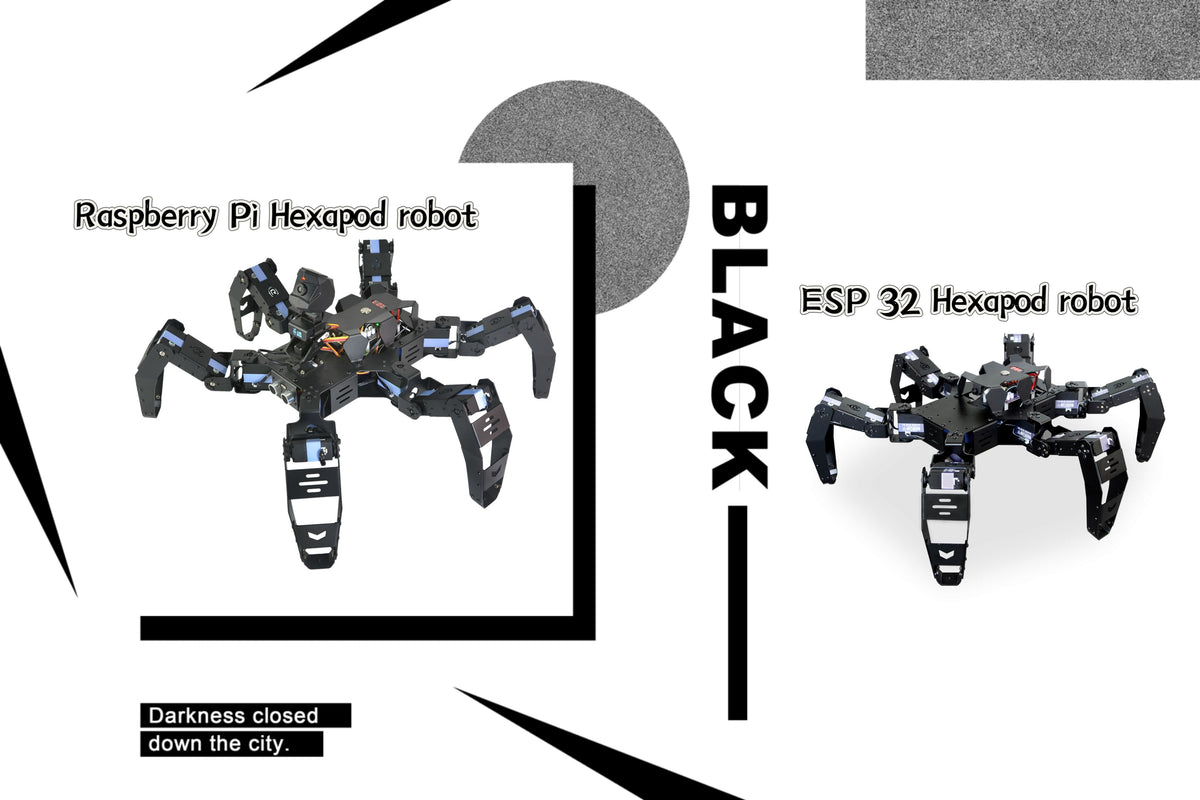ESP32 hexapod bionic robot and Raspberry Pi hexapod bionic robot: diff