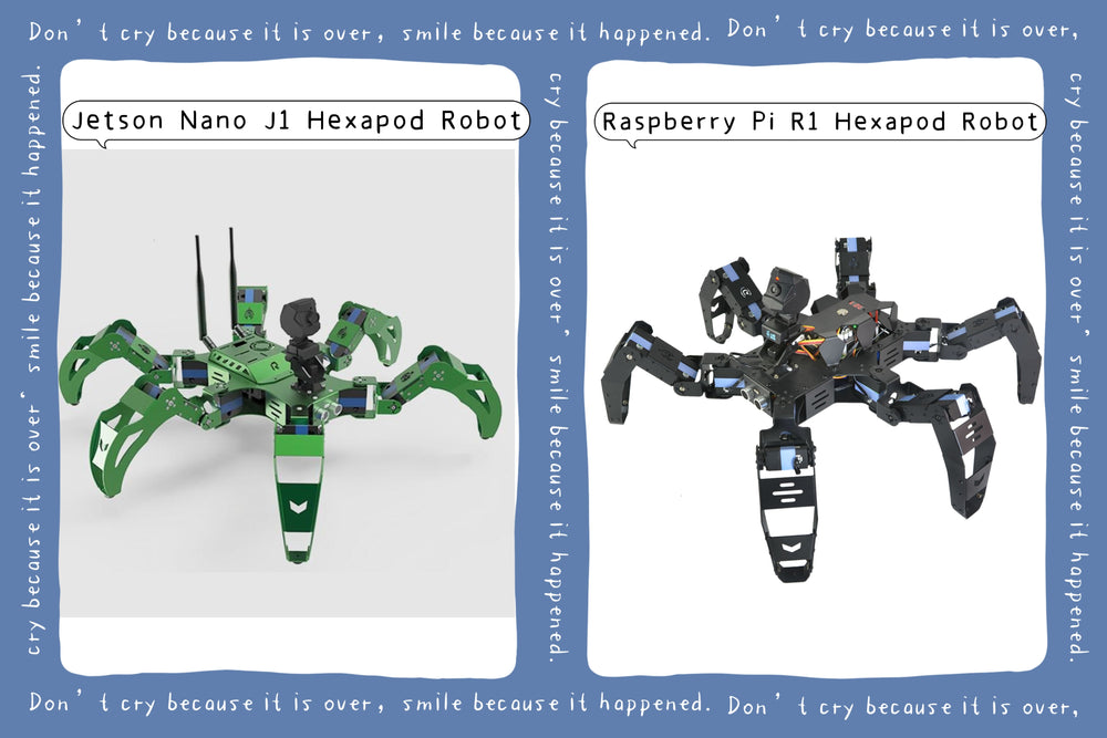 Raspberry Pi Bionic Hexapod and Jetson Nano Hexapod: Technical Differe